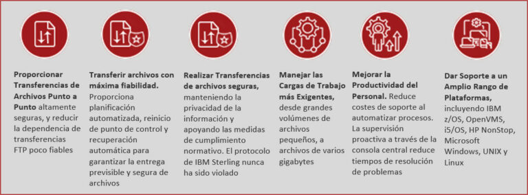 IBM Connect Direct – B2B Solutions ES